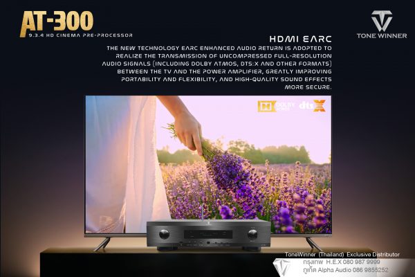 ToneWinner AT-300 HD pre-processor 9.3.4 - WYSIWYG Thailand